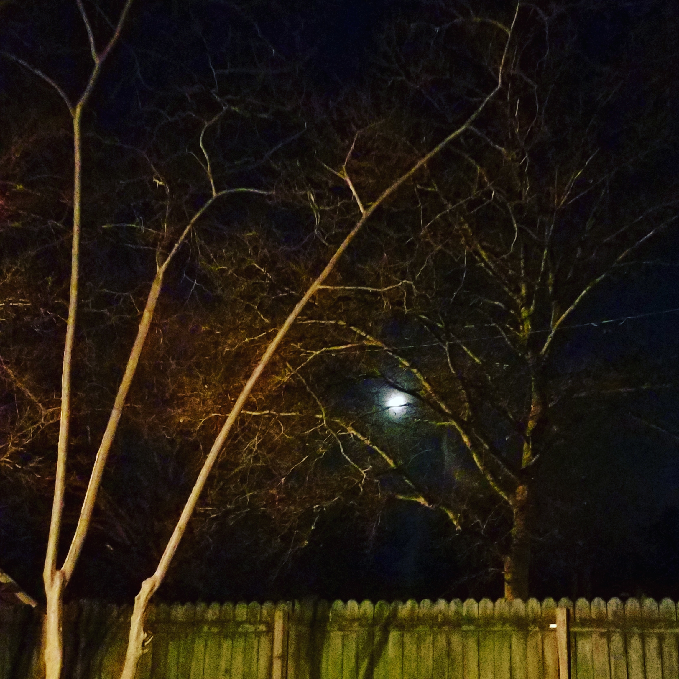 The Transformation| Short Poem – Stranger Paths